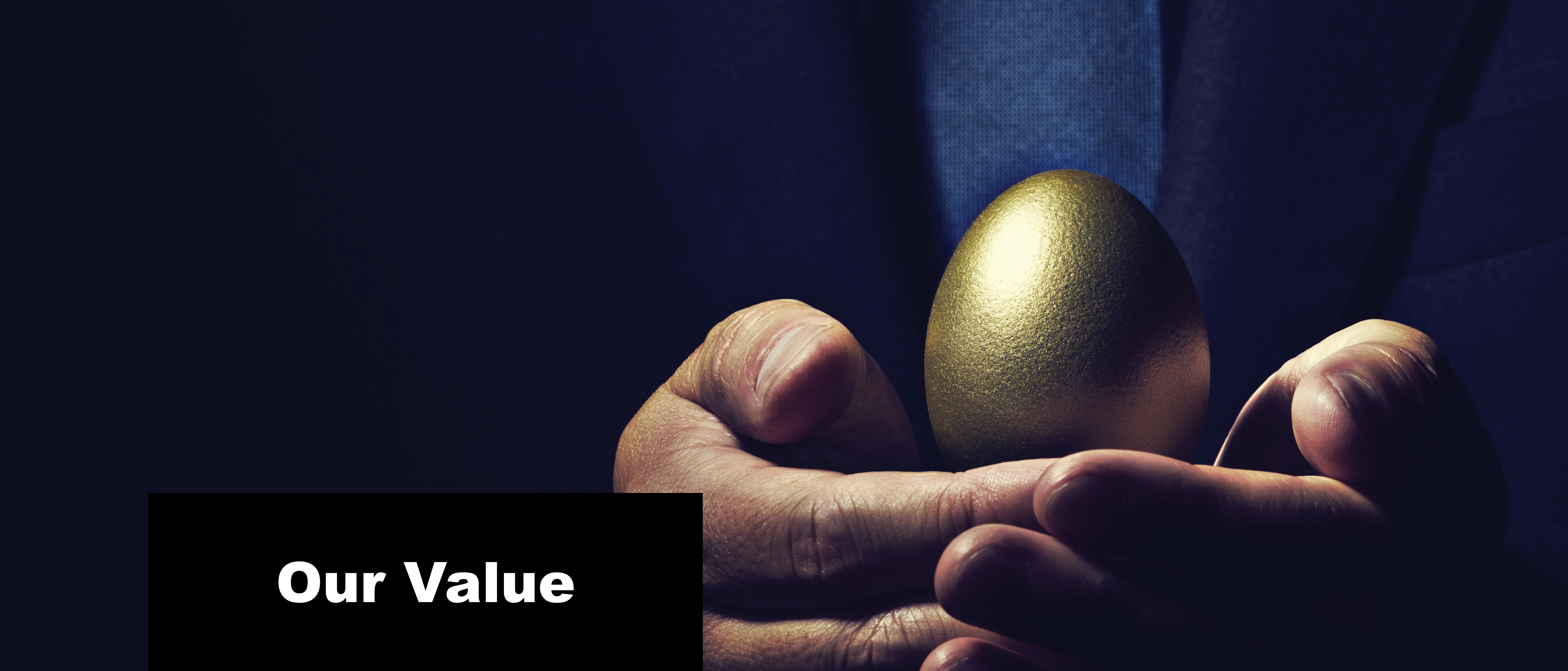 OUR VALUE - Digitally Driven. Data Focused. Unrivaled Support.